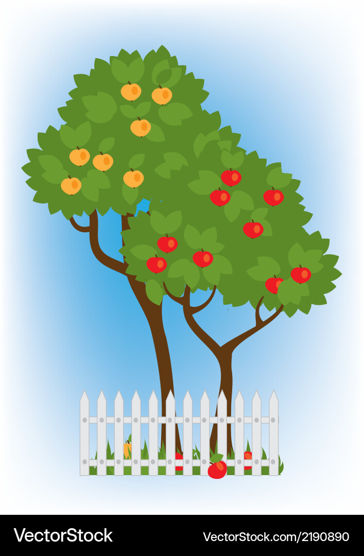 Apple trees Royalty Free Vector Image - VectorStock