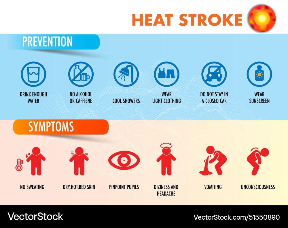 How to prevention heat stroke Royalty Free Vector Image