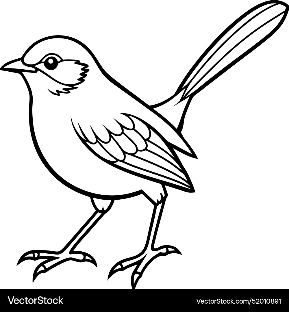 Fairy-wren bird stands icon Royalty Free Vector Image