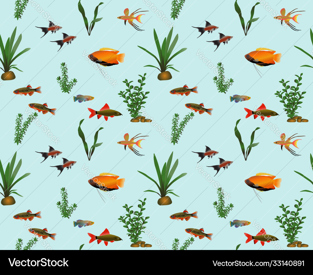 Freshwater fish colour Royalty Free Vector Image