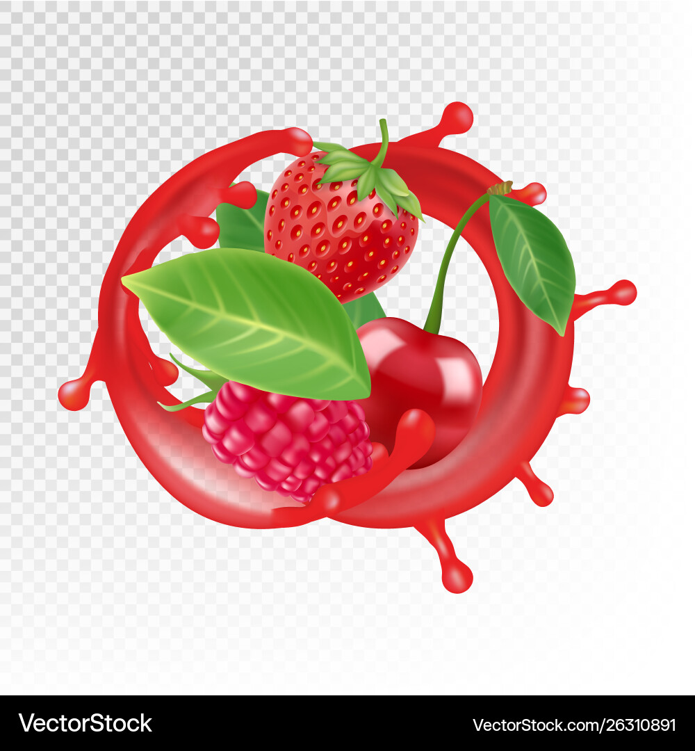 Garden and wild berries realistic juice Royalty Free Vector