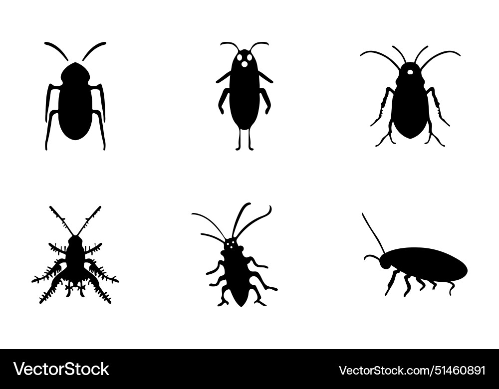 Minimal style asian cockroach icon design Vector Image