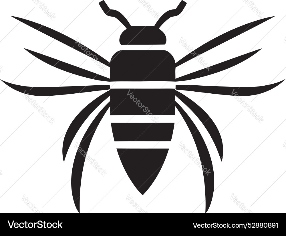Tarantula hawk majesty in black insect hunters Vector Image