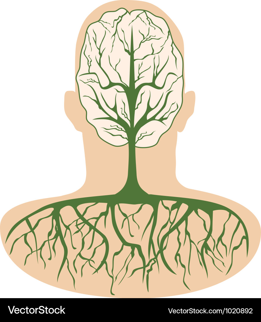 Brain tree Royalty Free Vector Image - VectorStock
