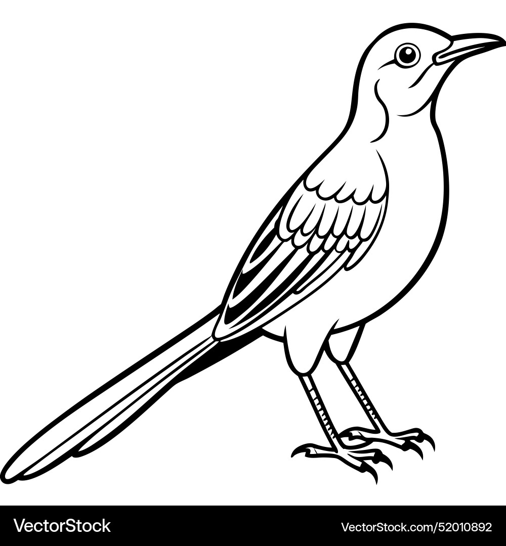 Fairy-wren bird swims icon Royalty Free Vector Image