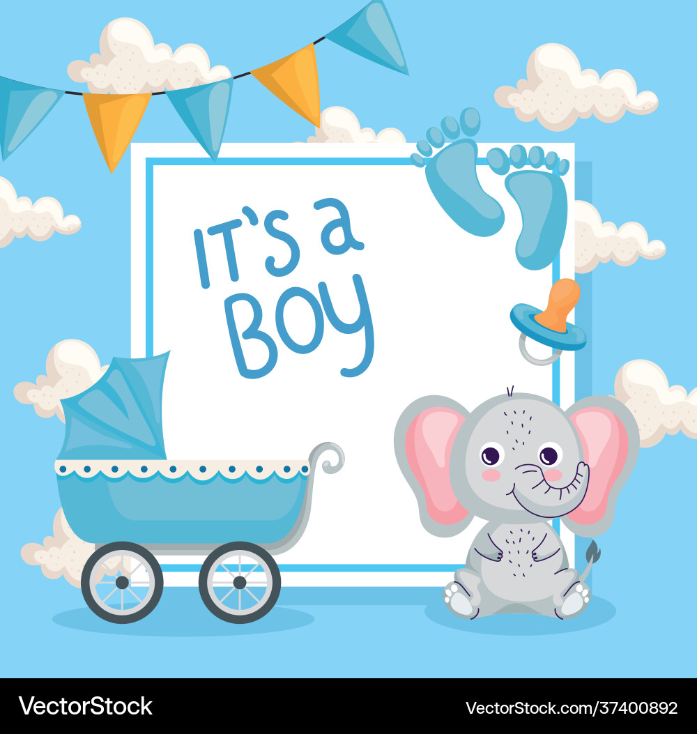 Its a boy Royalty Free Vector Image - VectorStock