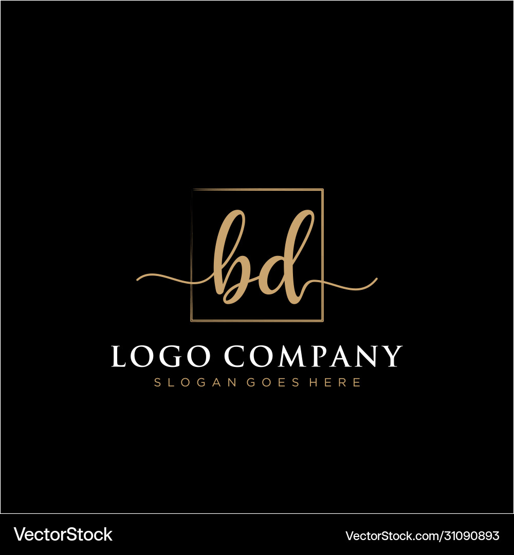 Bd initial handwriting logo with rectangle Vector Image