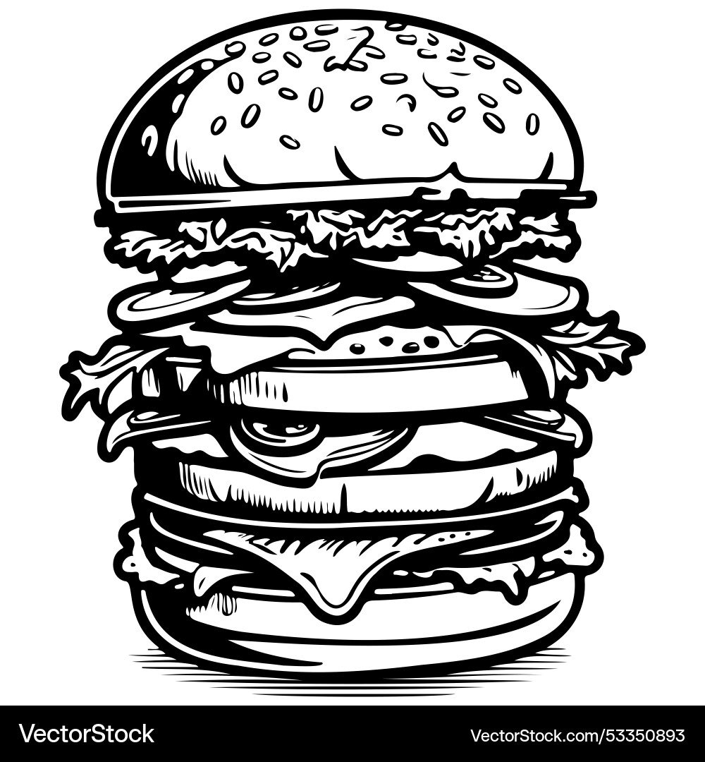Burger drawing realistic outline line transparent Vector Image
