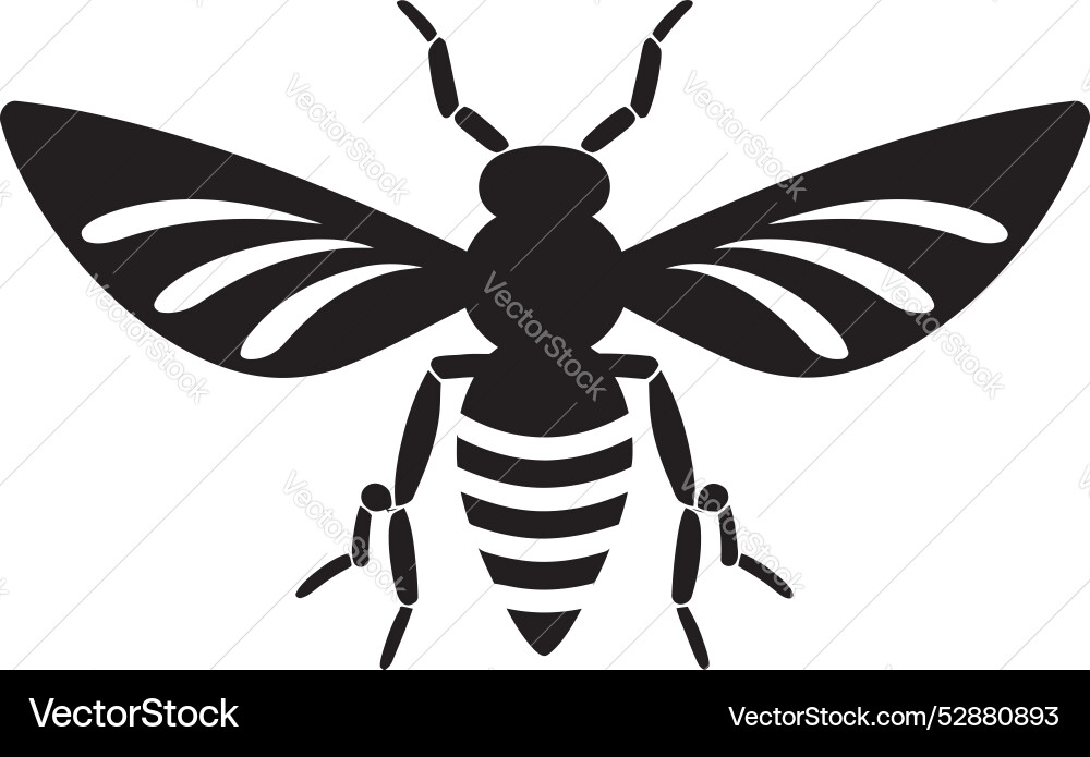 Desert aviator icon black tarantula hawk signature