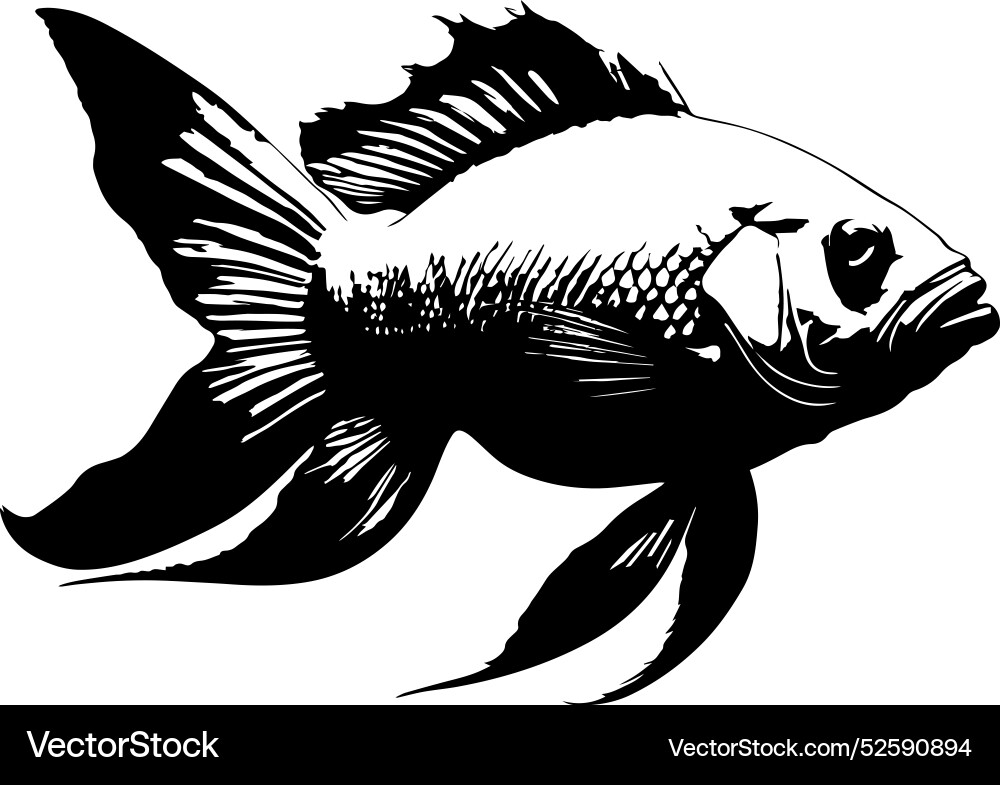 Fish silhouette Royalty Free Vector Image - VectorStock