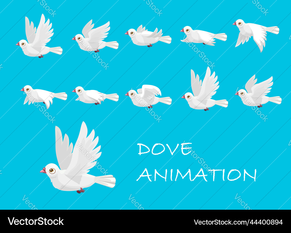 Flying white dove pigeon bird motion animation Vector Image