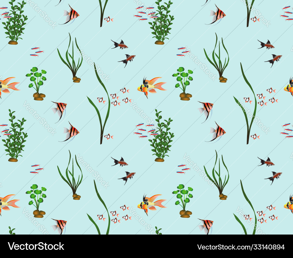 Freshwater fish colour Royalty Free Vector Image