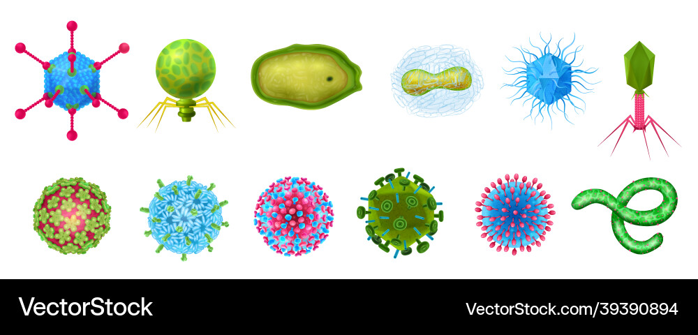 Viruses realistic icons set Royalty Free Vector Image