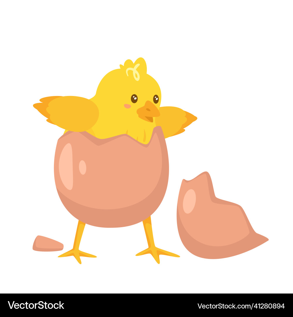 Yellow chick breaks free of the shell Royalty Free Vector