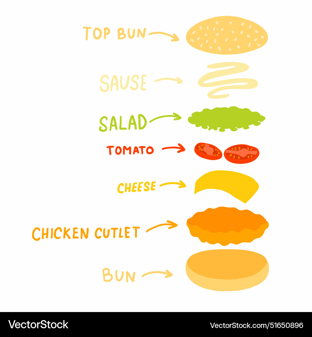 Big burger infographics ingredients chicken Vector Image