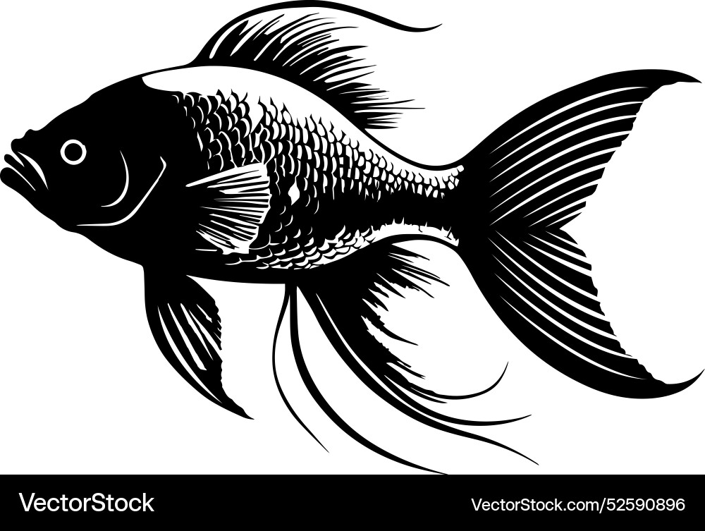 Fish silhouette Royalty Free Vector Image - VectorStock