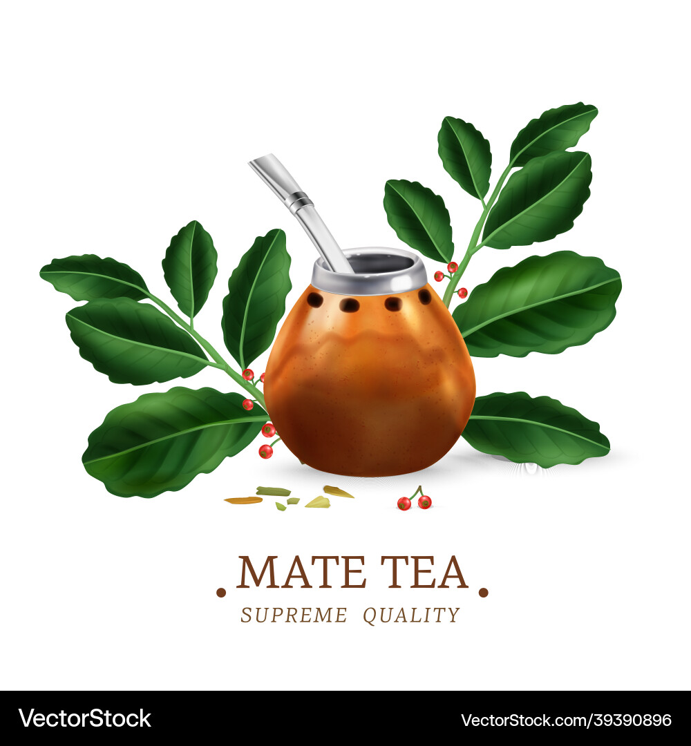 Mate tea Royalty Free Vector Image - VectorStock