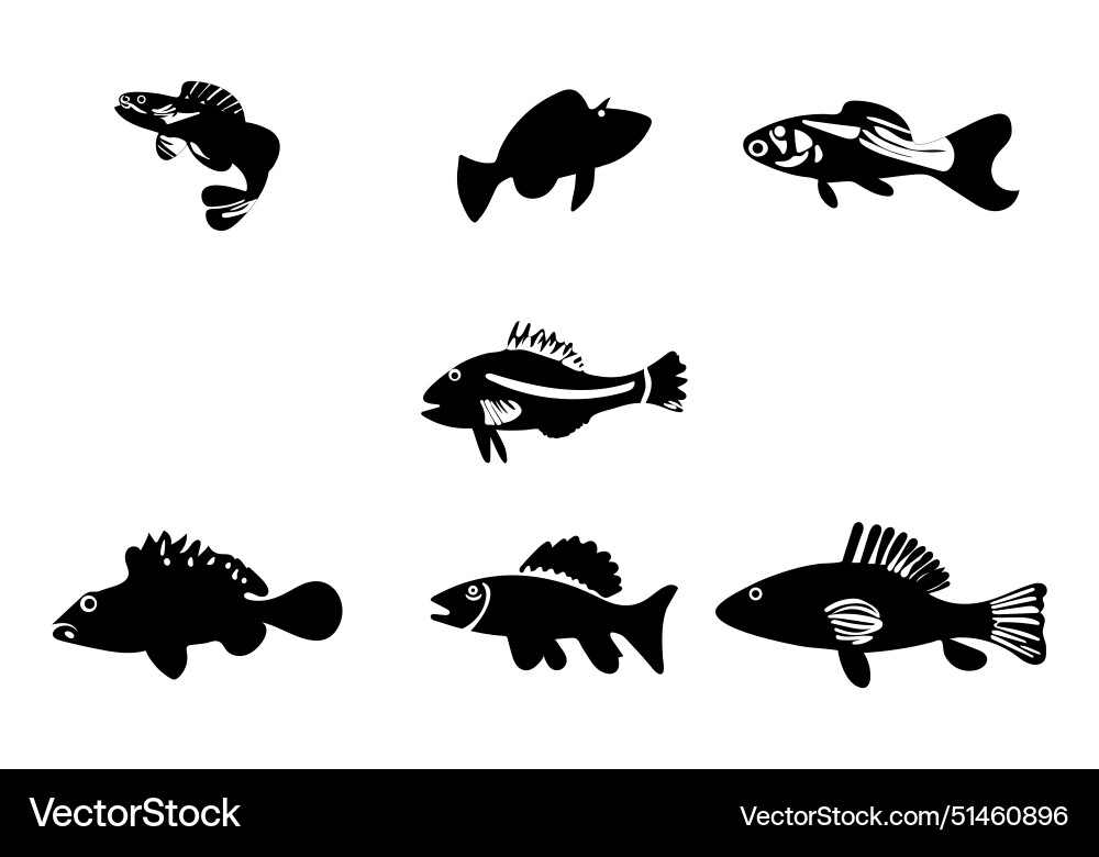 Minimal style australian flathead perch icon Vector Image