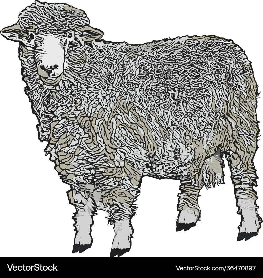 Sheep detailed Royalty Free Vector Image - VectorStock