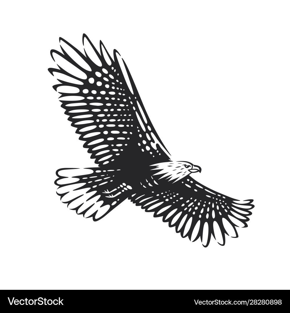Eagle Royalty Free Vector Image - VectorStock