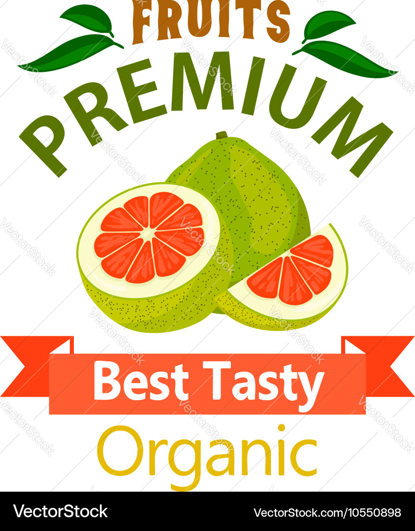 Pomelo organic fruits poster Royalty Free Vector Image
