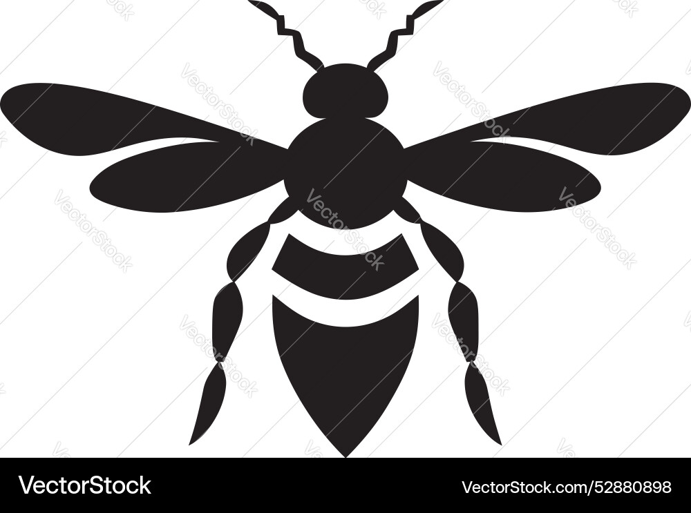 Tarantula hawk emblematic art insect kingdoms Vector Image