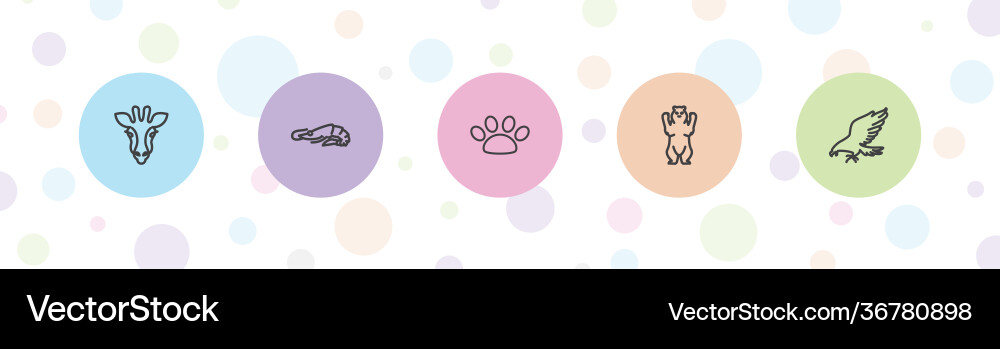 Wildlife icons Royalty Free Vector Image - VectorStock