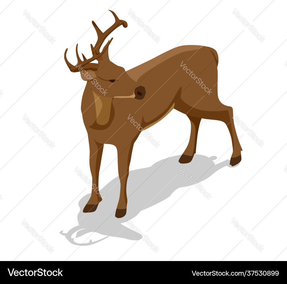 Isometric deer front view stolz Lizenzfreies Vektorbild