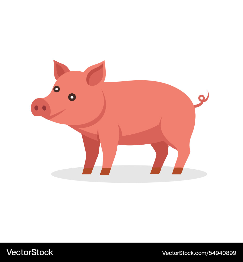 Pig side view flat on white background Royalty Free Vector