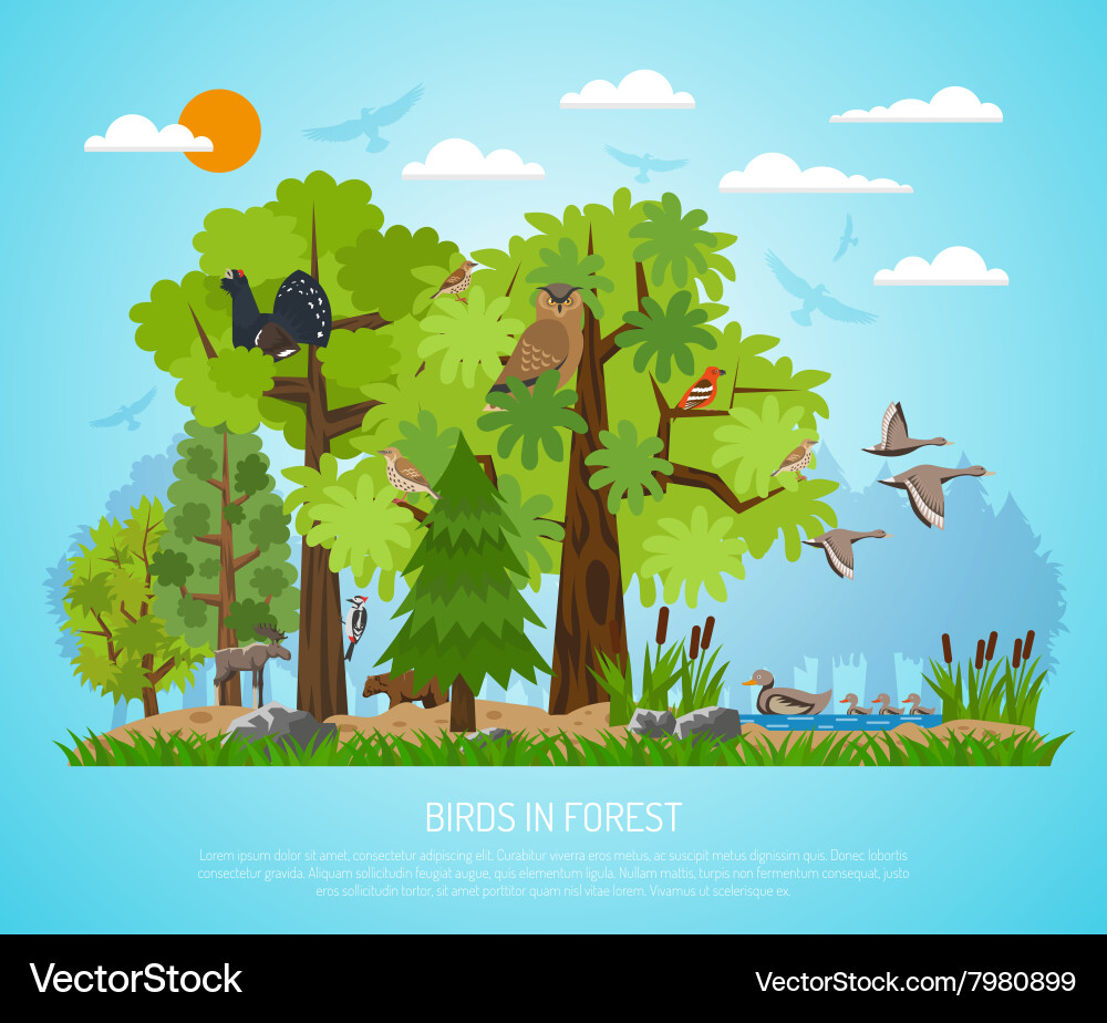 Poster of birds in forest Royalty Free Vector Image