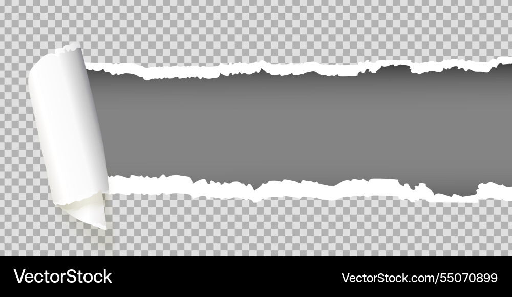Ripped Paper Roll - Torn Edge Royalty Free Vector Image