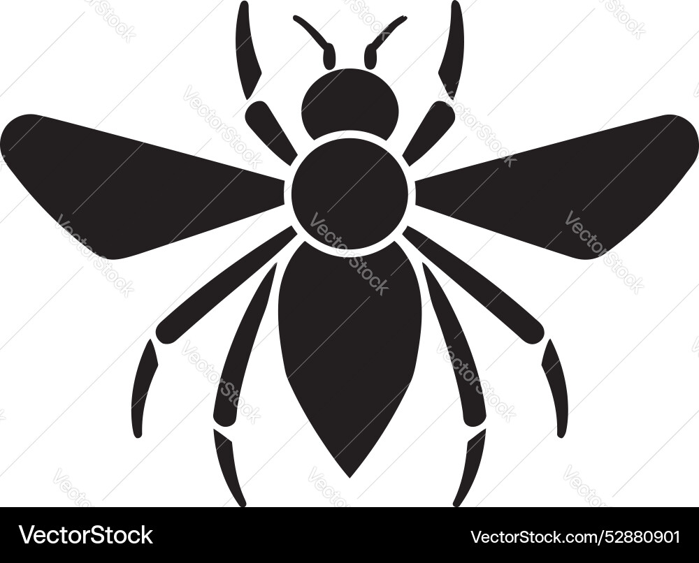 Tarantula hawks deadly dance deserts stealthy Vector Image