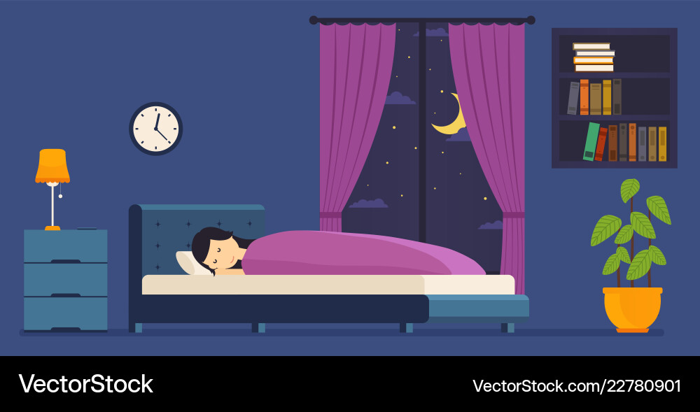 Woman sleeps at night in bed Royalty Free Vector Image