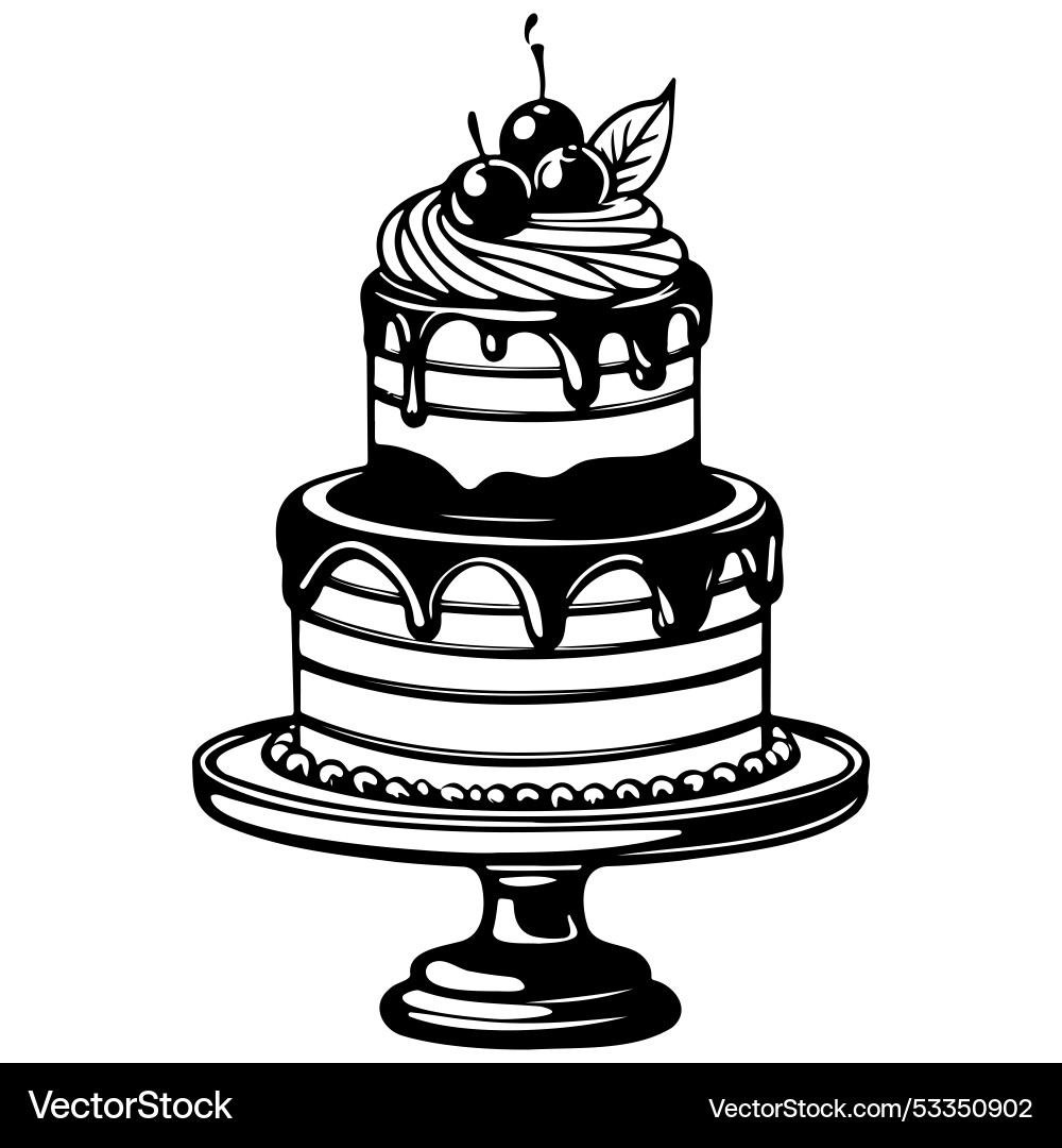 Cake drawing realistic hand drawing line art Vector Image