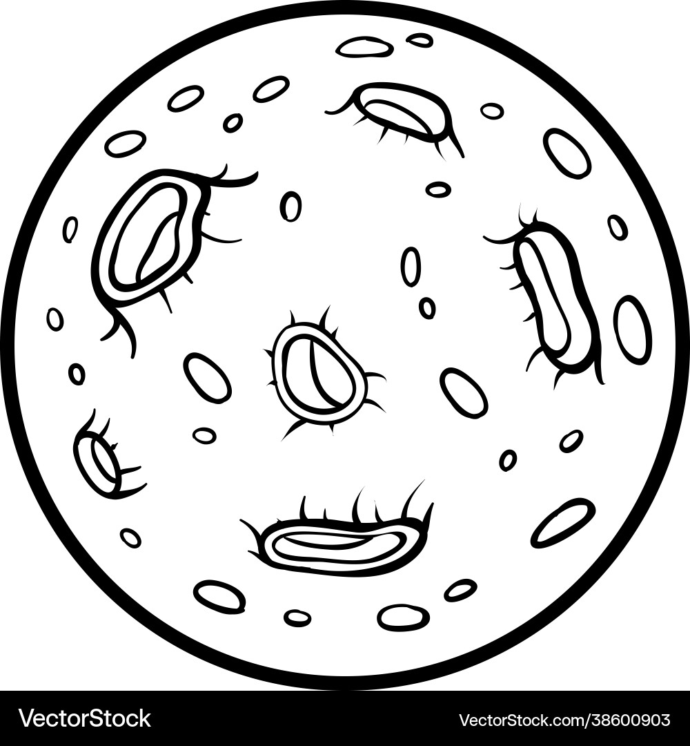 Coloring book moon Royalty Free Vector Image - VectorStock