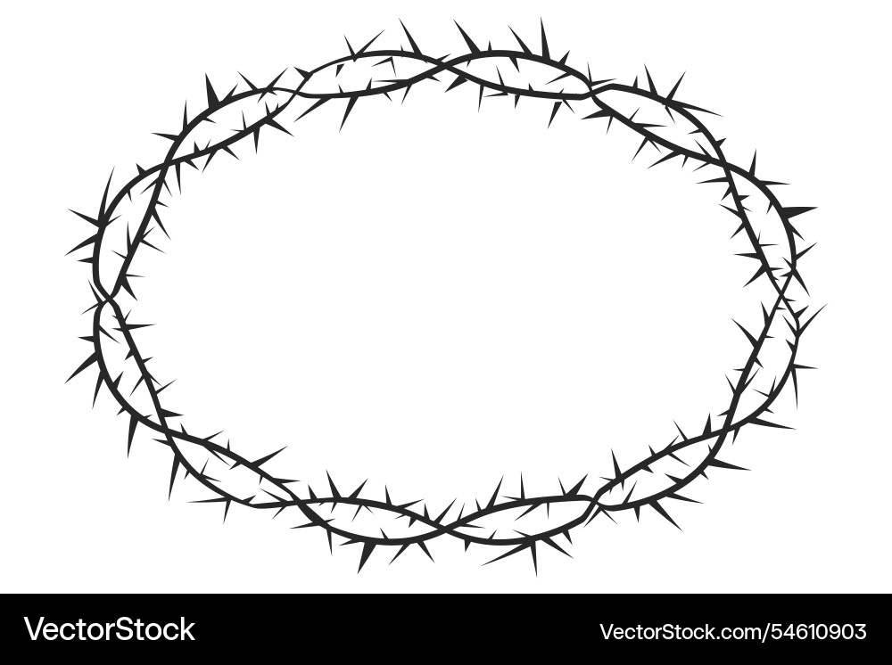 Thorn stem vine plant with spikes simple border Vector Image