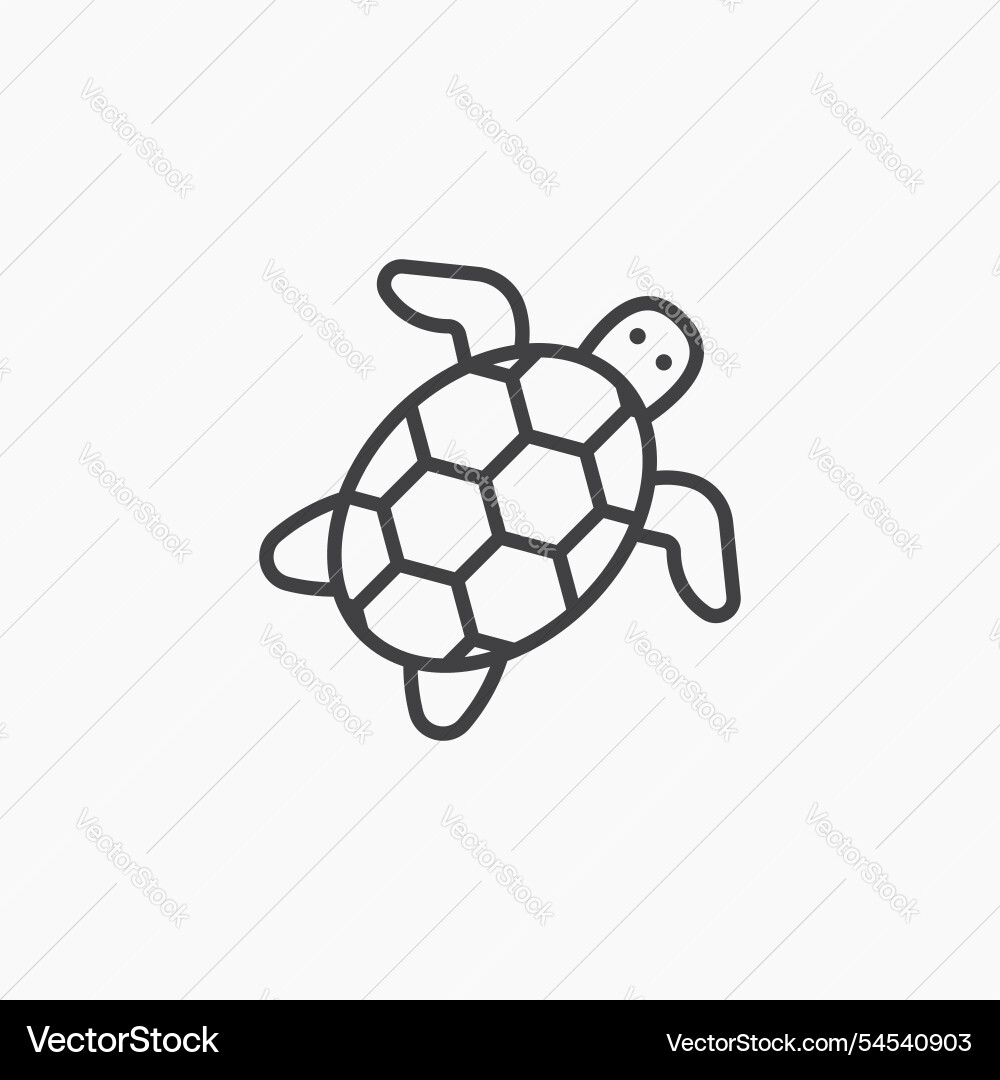 Turtle icon Royalty Free Vector Image - VectorStock