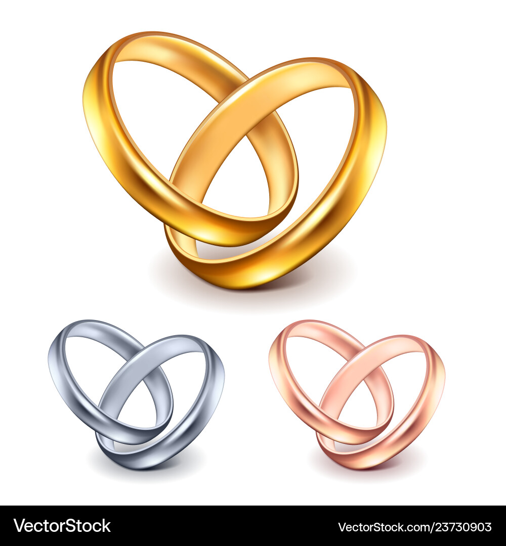 Wedding rings golden and silver isolated on white Vector Image
