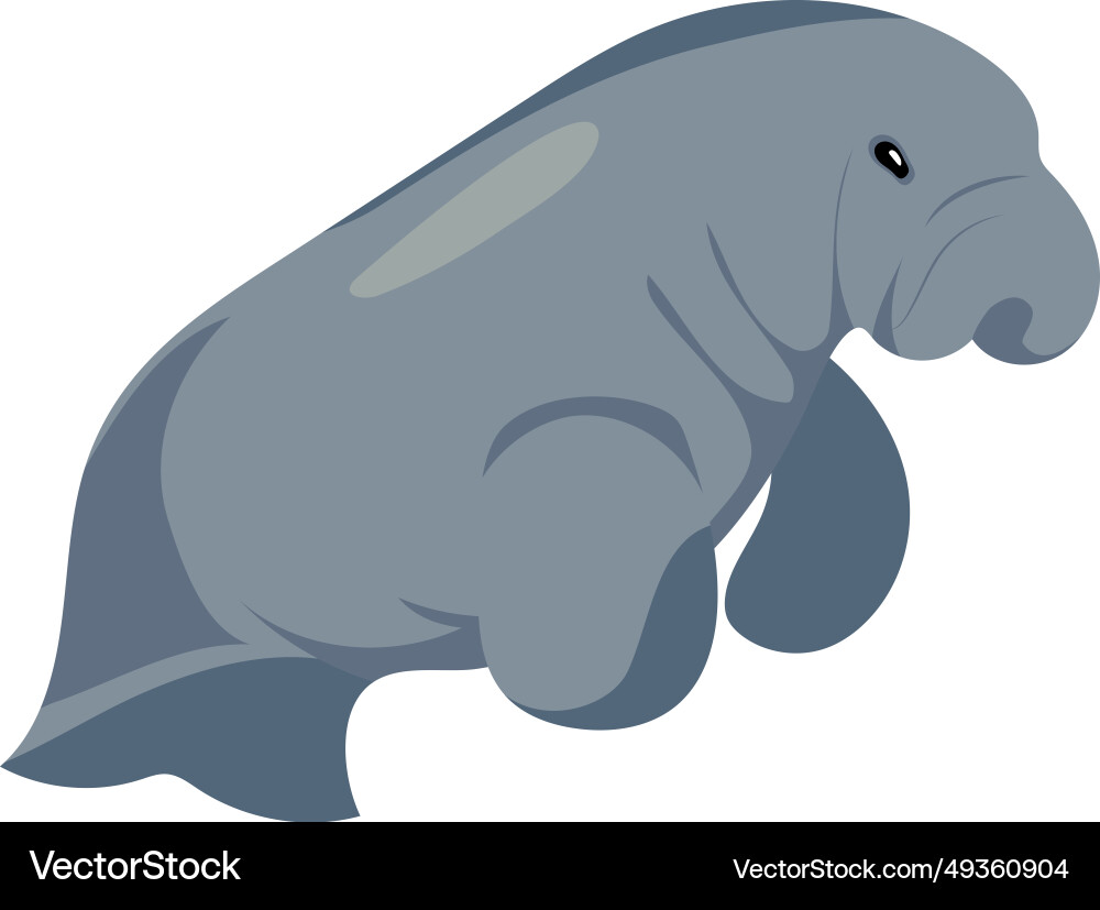 Australia animal dugong Royalty Free Vector Image
