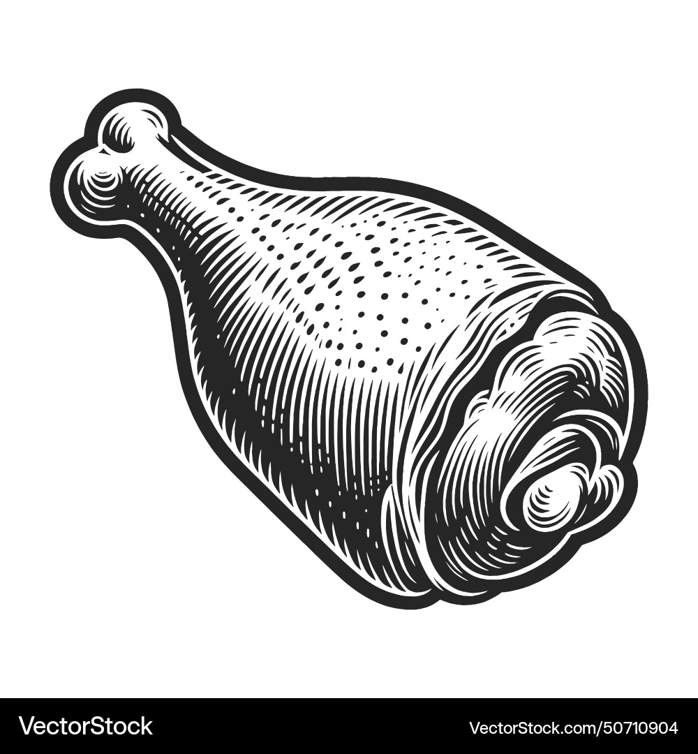 Fried chicken drumstick leg sketch Royalty Free Vector Image