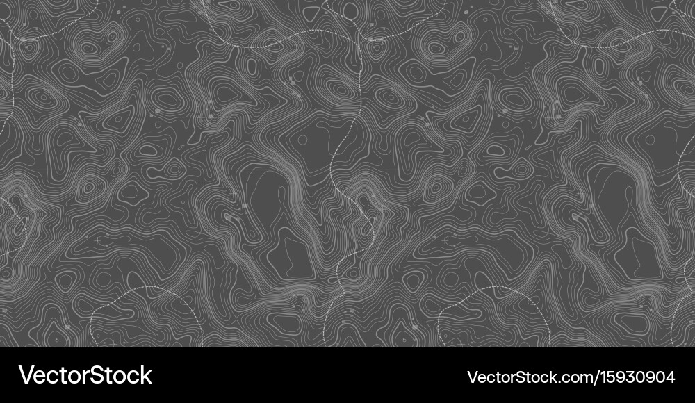 Seamless pattern topographic map background Vector Image
