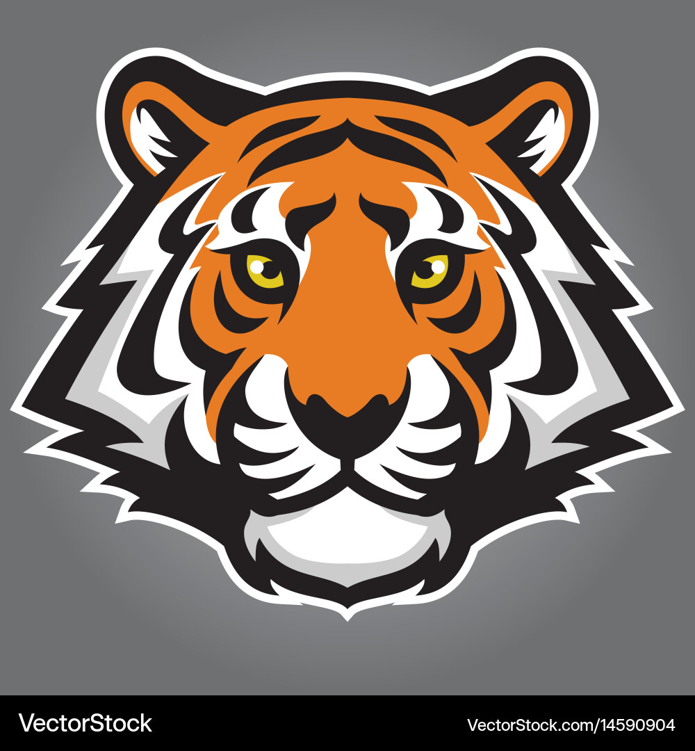Tiger head Royalty Free Vector Image - VectorStock