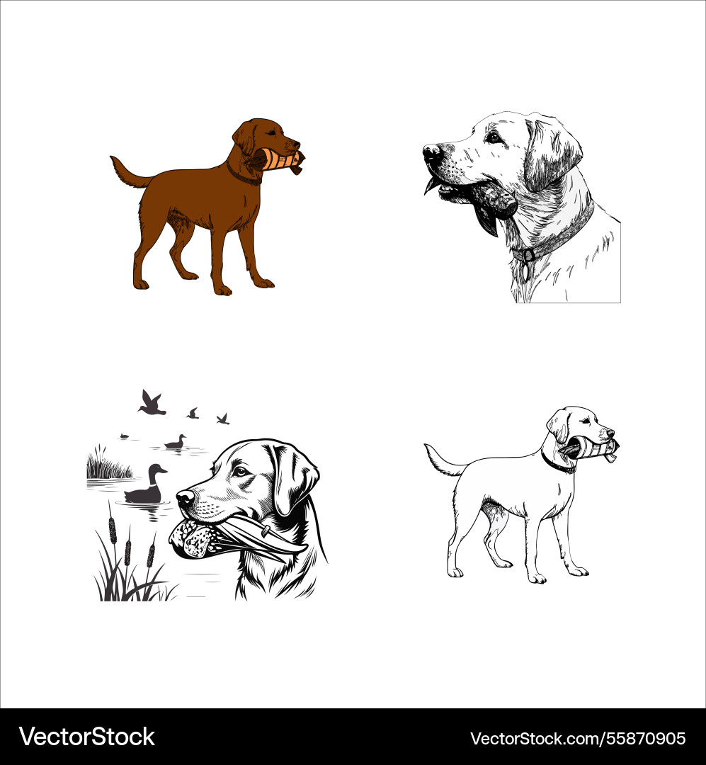 A set of retrievers triumph Royalty Free Vector Image