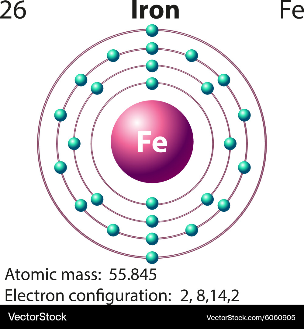 Flashcard of iron with atomic mass Royalty Free Vector Image