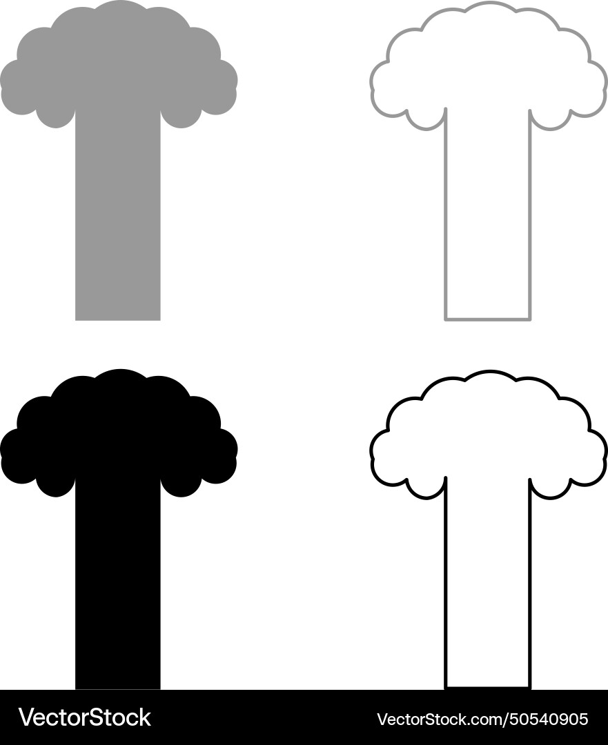 Nuclear explosion burst mushroom explosive Vector Image