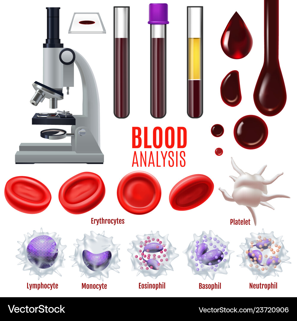 Blood analysis isolated set in realistic style Vector Image