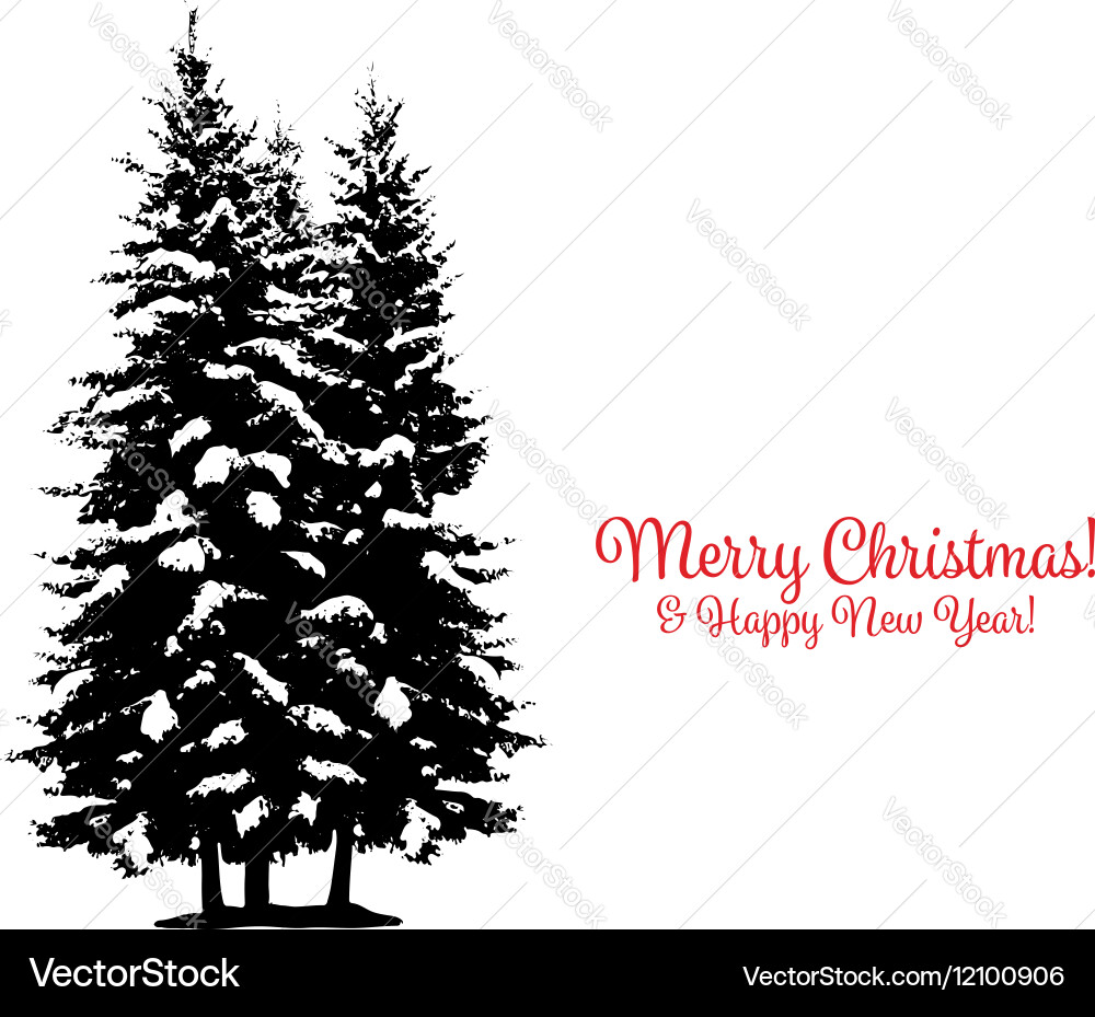 Christmas card with pine tree for your design Vector Image