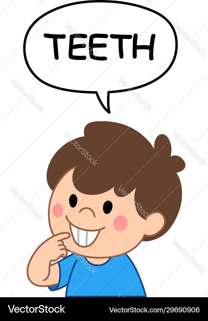 Kid teeth Royalty Free Vector Image - VectorStock