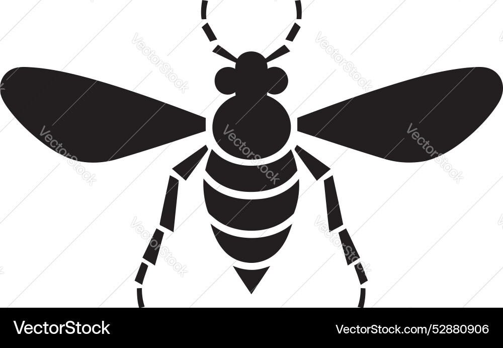 Tarantula hawk iconic mark predator of barren Vector Image