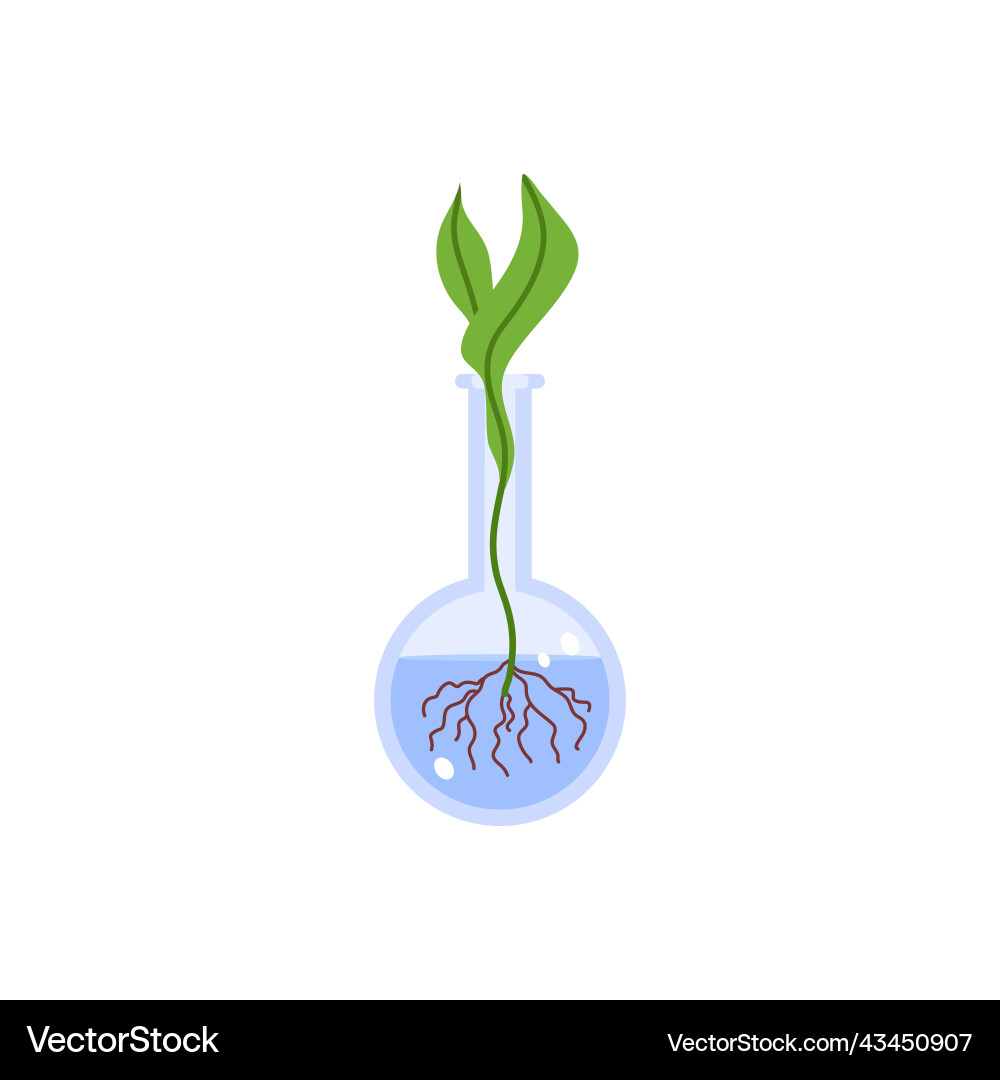 Plant Sprout in Laboratory Flask - Genetics Resear